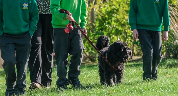 Elements Primary School, Leeds, West Yorkshire | Teaching Jobs ...