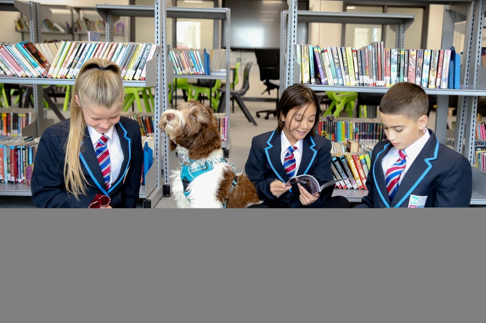 Chiltern Academy, Luton | Teaching Jobs & Education Jobs | MyNewTerm