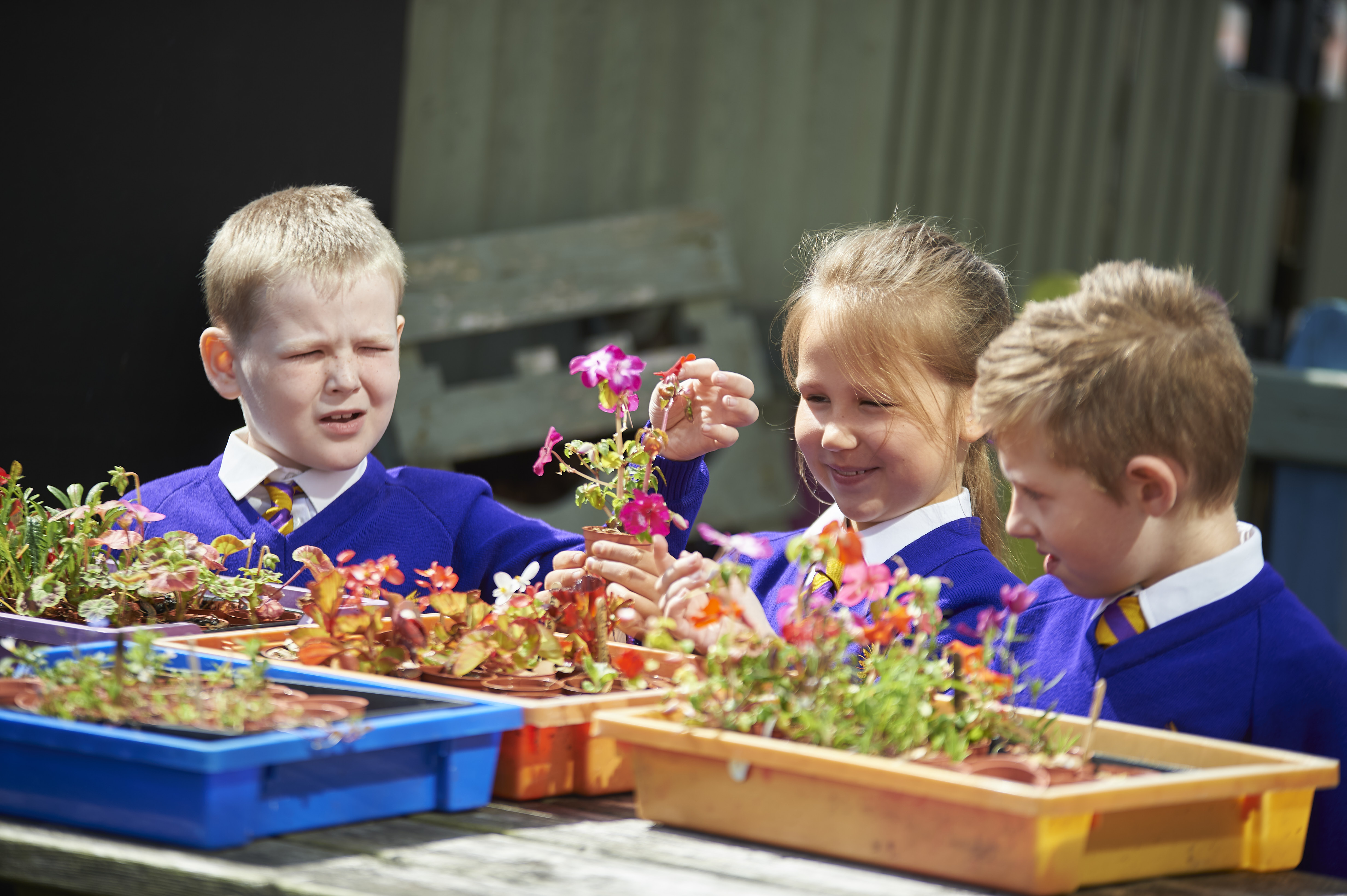 Phoenix Primary School, Chatham, Kent | Teaching Jobs & Education Jobs ...