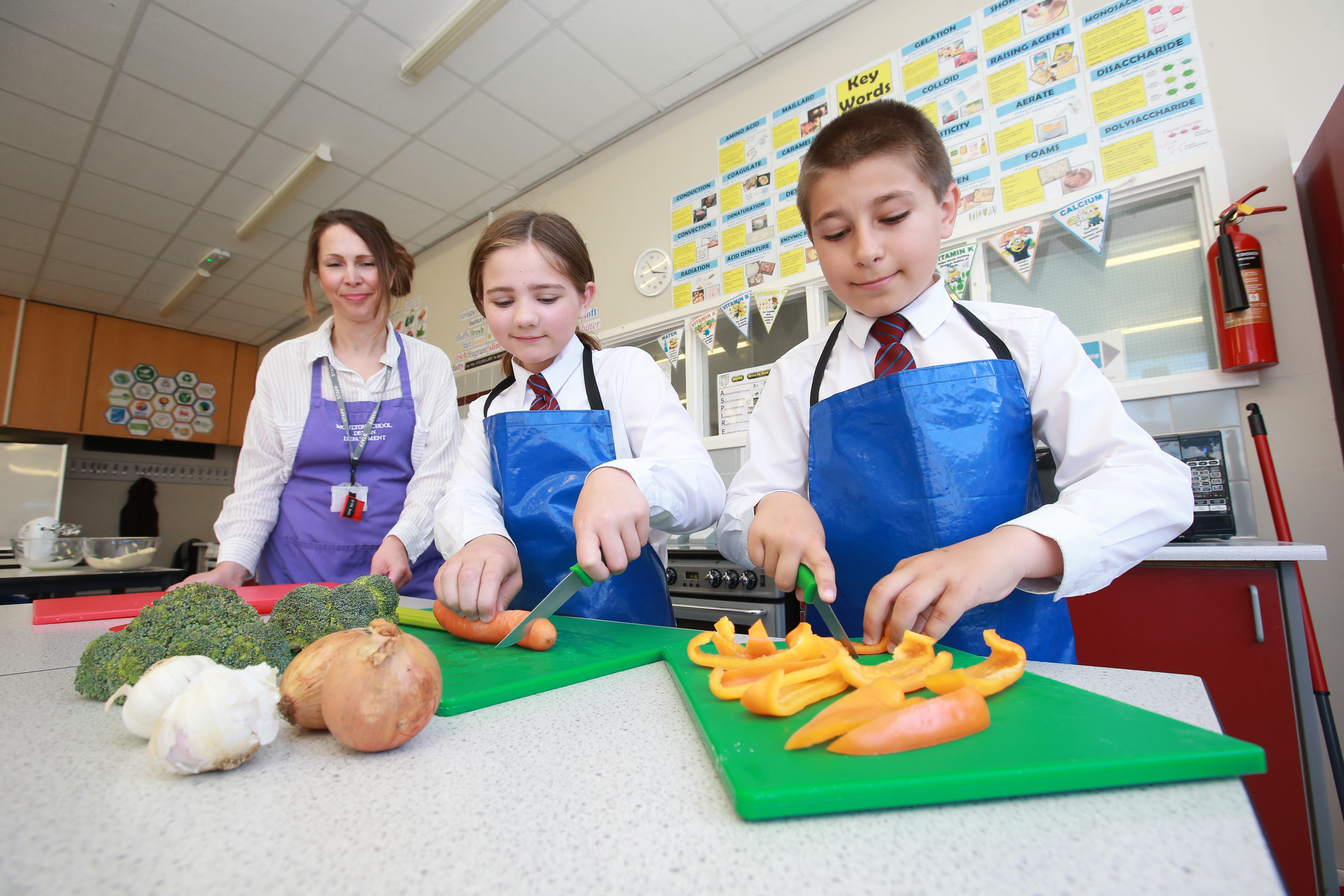 Moulton School and Science College, Northampton, Northamptonshire ...
