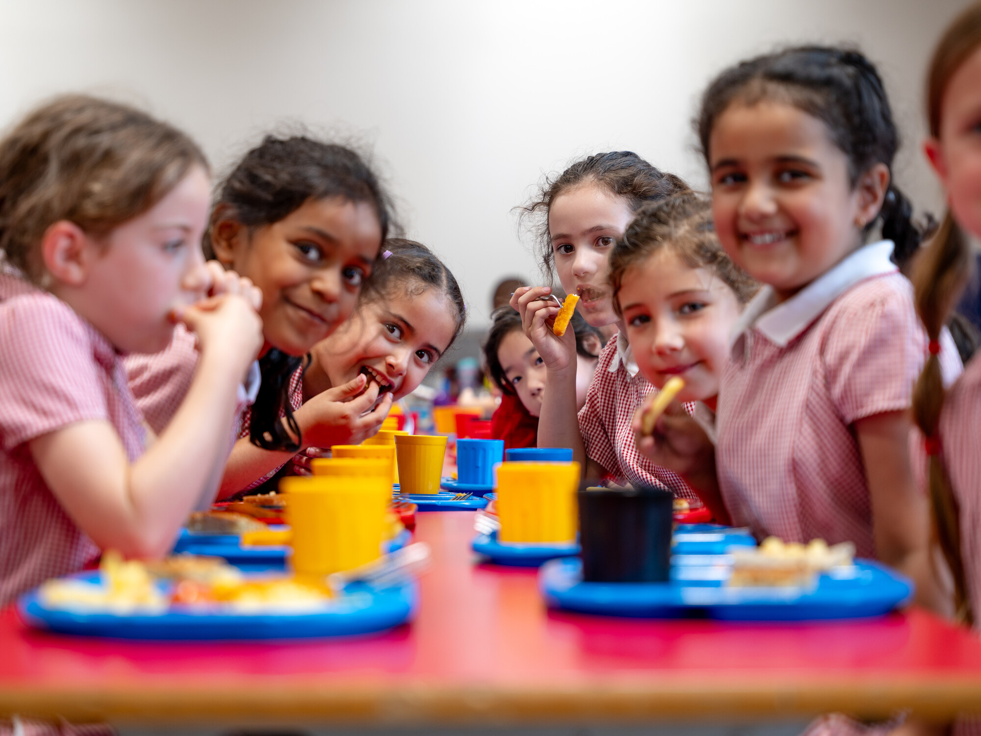 Ivy Learning Trust, London, Greater London | Teaching Jobs & Education ...